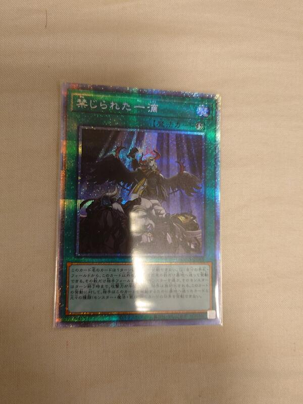 ROTD-JP065 禁忌的一滴 白鑽 | 露天拍賣